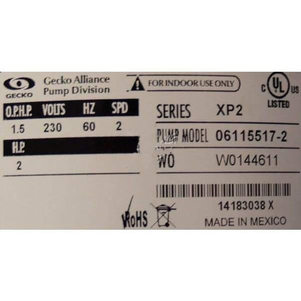 Caldera Spa Jet Pump, 1.0 Hp, 2 Speed, Xp2, 240 Volt, 2 Inch Side ...