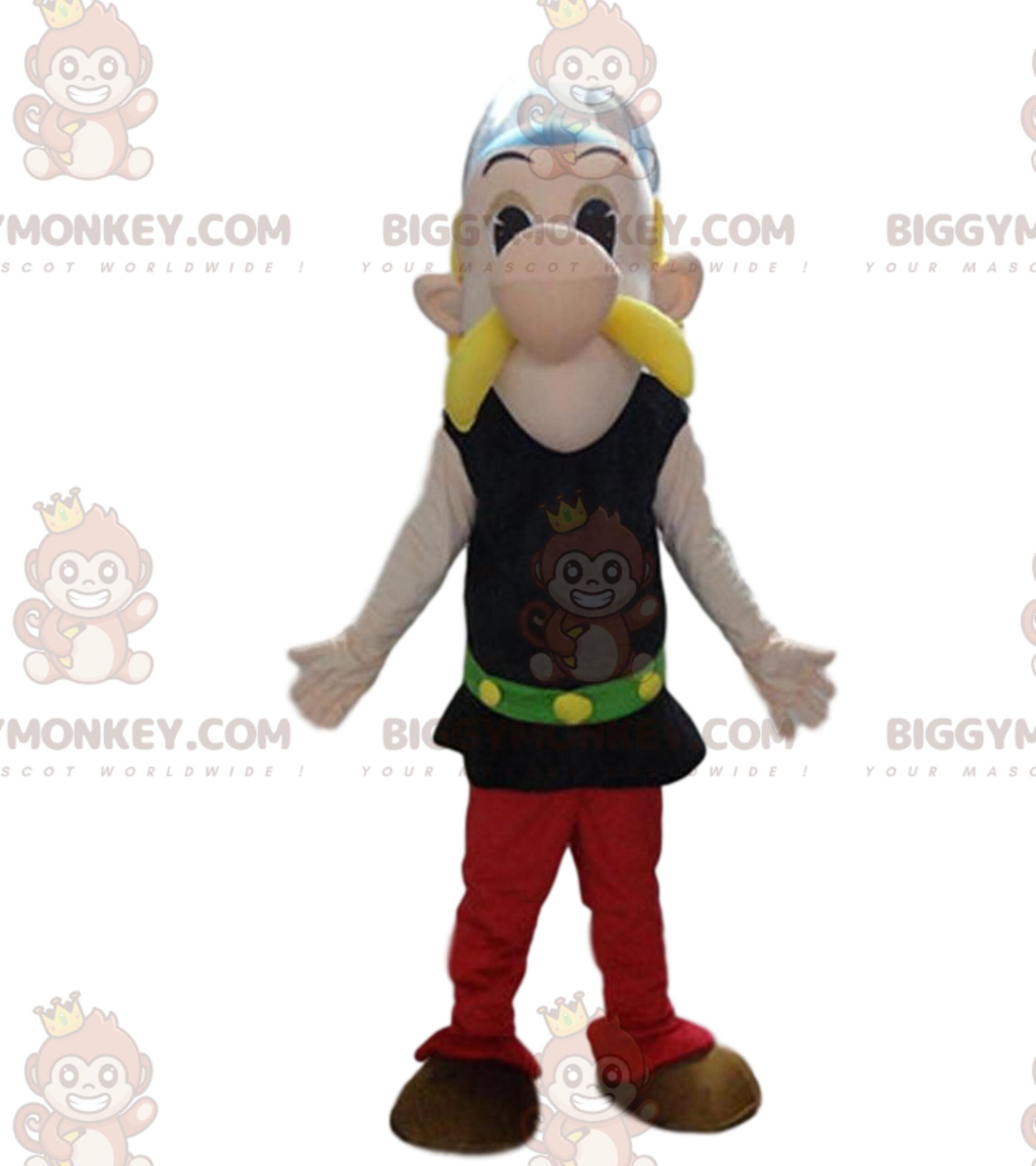 Disguise of Asterix, famous Gaul in Asterix and Obelix – Diikon