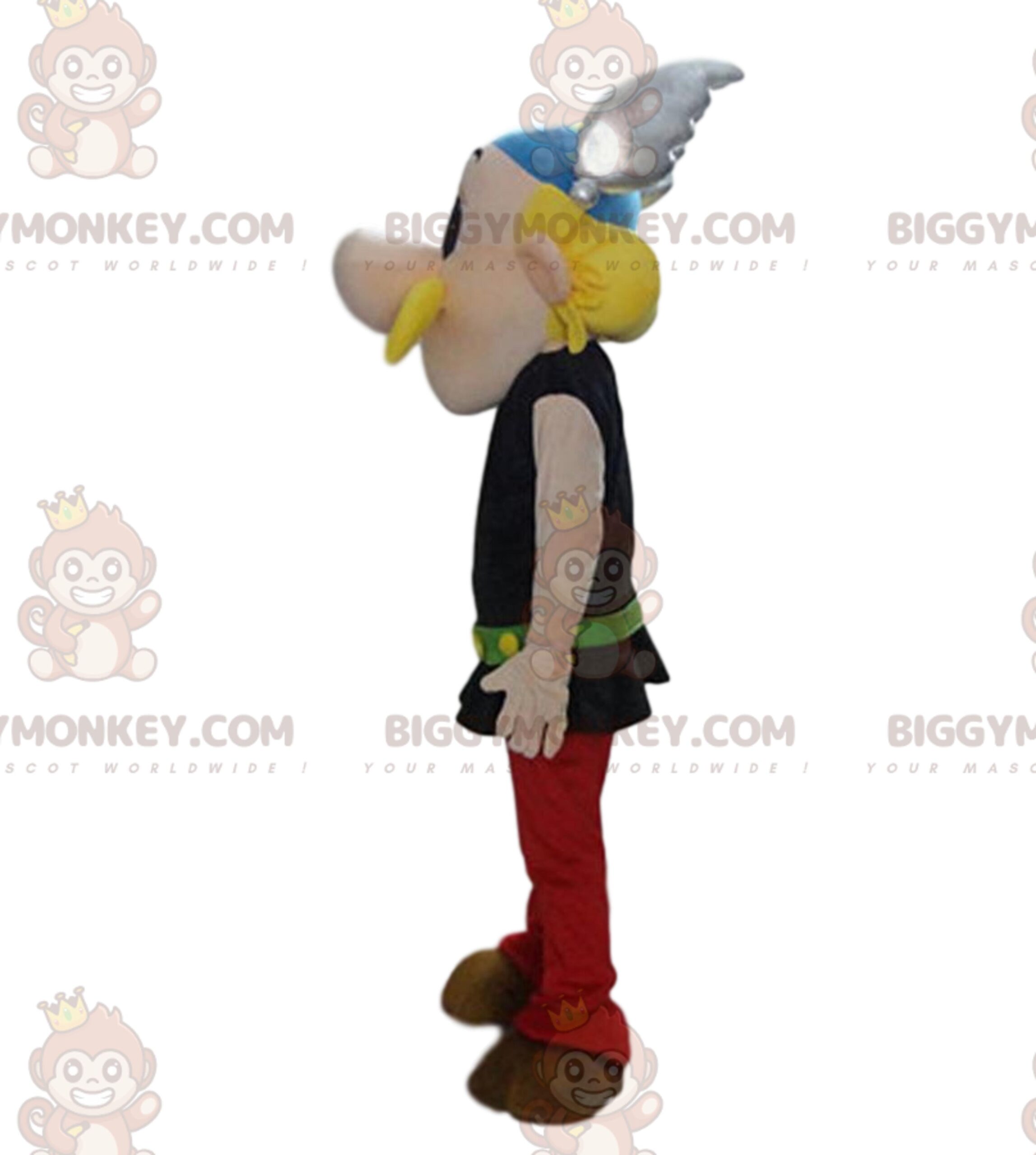Disguise of Asterix, famous Gaul in Asterix and Obelix – Diikon