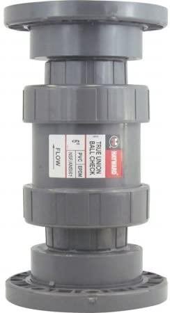Hayward TC1600FE 6-Inch PVC TC Series True Union Check Valve with EPDM ...