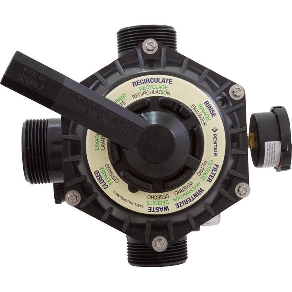 Pentair 262504 Top Mount Valve Fo Tagelus Black Filters – Diikon